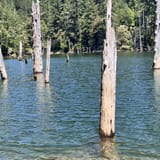 Kent Lake via Candalero Canyon Loop, California - 409 Reviews, Map ...
