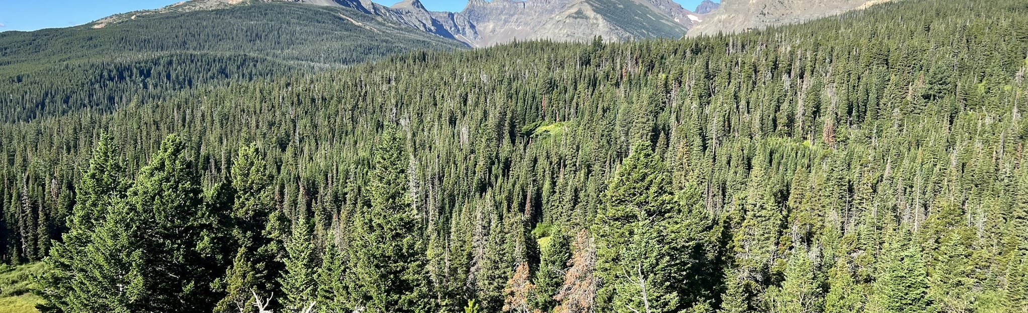 Mount Henry Trail and Scenic Point via East Glacier Park Village ...