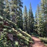 Boreas Pass Road and Baker's Tank Trail Loop, Colorado - 663 Reviews ...