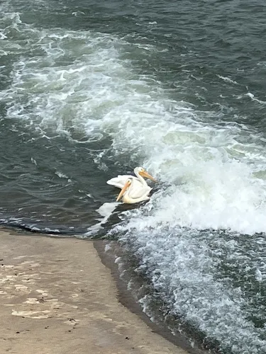 2023 Best Historic Site Trails in Meewasin Valley Authority | AllTrails