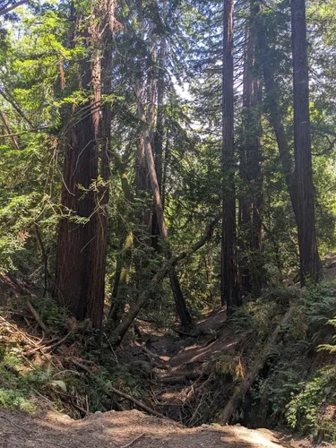 Best Hikes and Trails in Roberts Regional Recreation Area | AllTrails