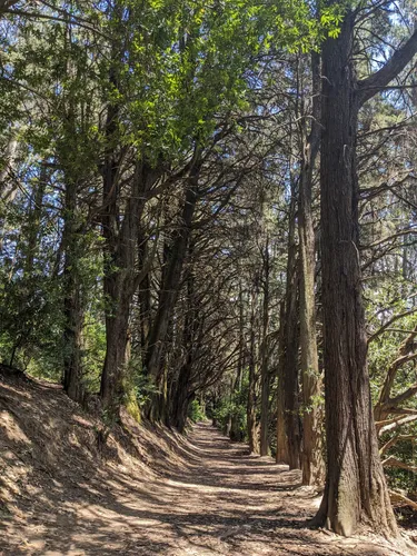 Best Hikes and Trails in Roberts Regional Recreation Area | AllTrails