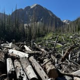 Elk Park Train Stop to Needleton, Colorado - 67 Reviews, Map | AllTrails