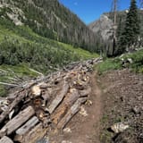 Elk Park Train Stop to Needleton, Colorado - 67 Reviews, Map | AllTrails