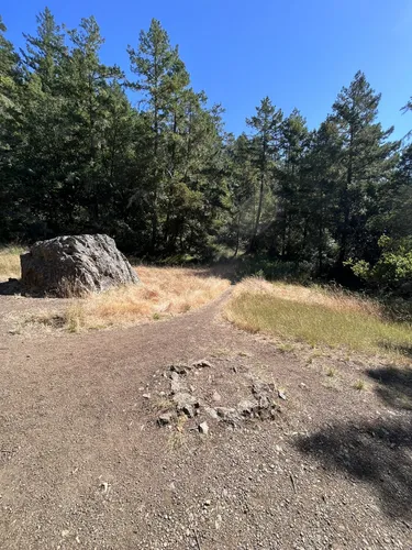 10 Best Trails and Hikes in Mill Valley | AllTrails