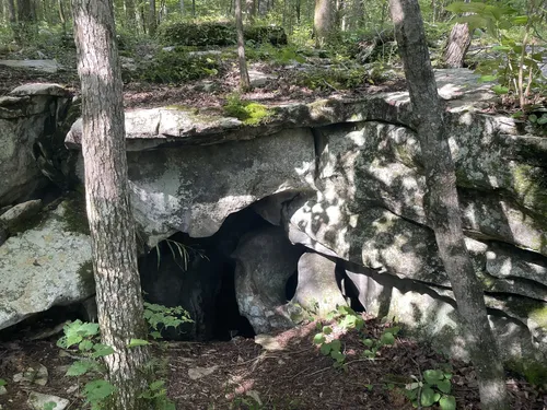 Best Hikes and Trails in Rickwood Caverns State Park | AllTrails
