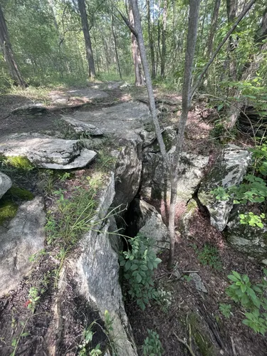 Best Hikes and Trails in Rickwood Caverns State Park | AllTrails