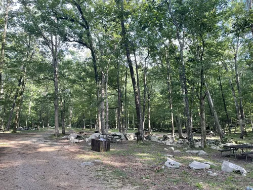 Best Hikes and Trails in Rickwood Caverns State Park | AllTrails