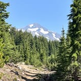 Obsidian Trail, Oregon - 660 Reviews, Map | AllTrails
