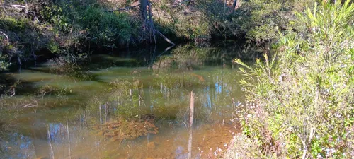 Best Hikes and Trails in Jimna State Forest | AllTrails