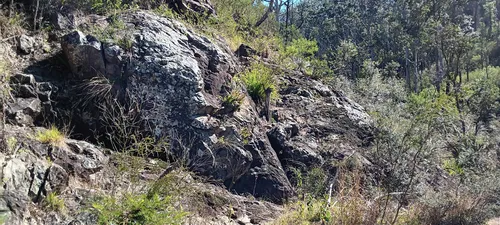 Best Hikes and Trails in Jimna State Forest | AllTrails