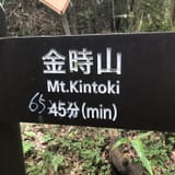 Mount Kintoki - Kintoki Shrine, Kanagawa, Japan - 183 Reviews, Map ...