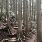 Mount Kintoki - Kintoki Shrine, Kanagawa, Japan - 183 Reviews, Map ...