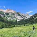 Spider Meadow via Phelps Creek Trail, Washington - 273 Reviews, Map ...