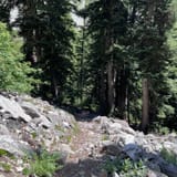 Spider Meadow via Phelps Creek Trail, Washington - 322 Reviews, Map ...