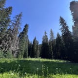 Spider Meadow via Phelps Creek Trail, Washington - 276 Reviews, Map ...