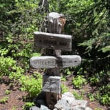 Spider Meadow via Phelps Creek Trail, Washington - 322 Reviews, Map ...