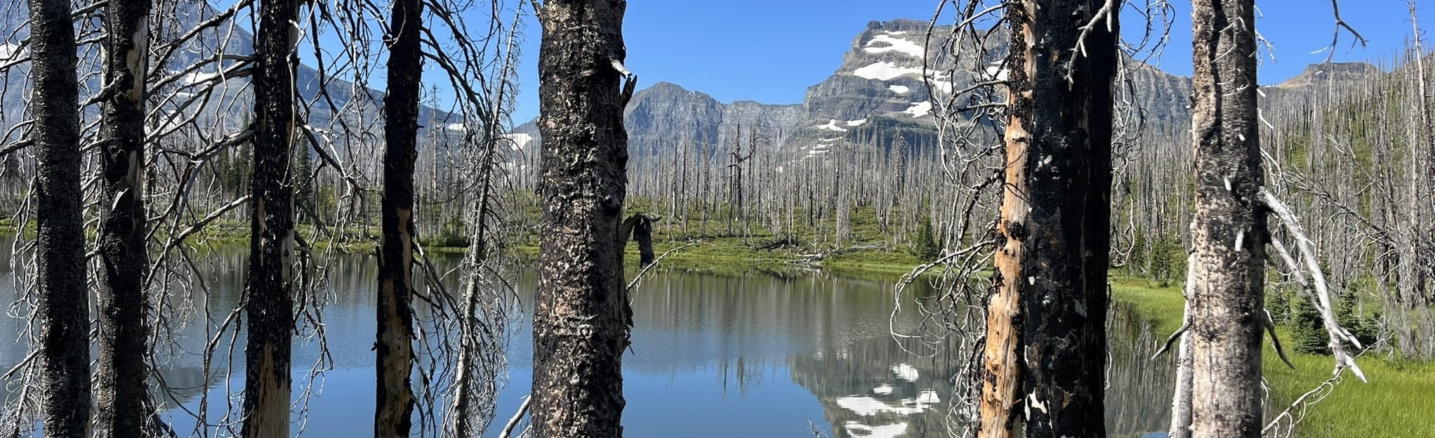 Summit, Carthew, and Alderson Lakes, Alberta, Canada - 109 Reviews, Map ...