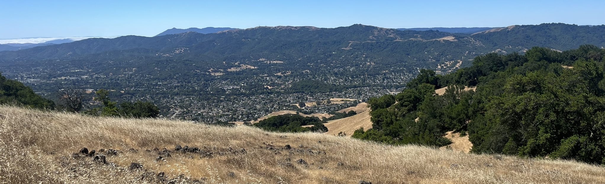 Miwok to Upper Mt Burdell Trail, California - 351 Reviews, Map | AllTrails