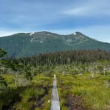 Mount Jumbo (Bradley) Trail, Alaska - 241 Reviews, Map | AllTrails