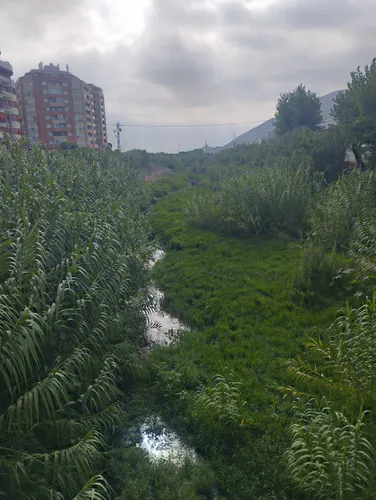 Best Hikes and Trails in Marjar de la Safor | AllTrails