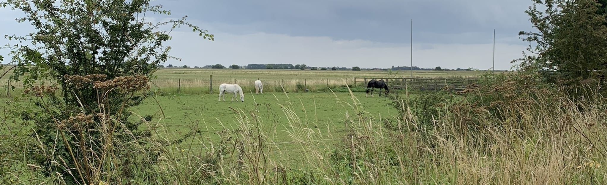 Tetney Lock and Humberston Circular, Lincolnshire, England - 20 Reviews ...