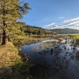 Sagehen Creek Loop, California - 852 Reviews, Map | AllTrails