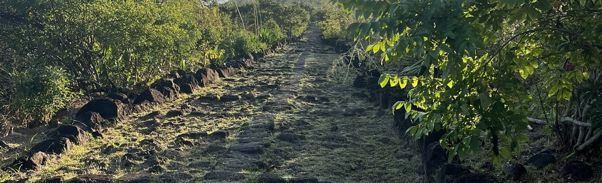 Tolle Tour auf den Piton de la Ravine in Malheur: 8 Fotos - Saint-Paul ...