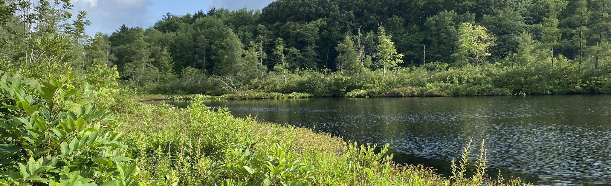Triangle Lake Bog State Nature Preserve Loop, Ohio - 44 Reviews, Map ...