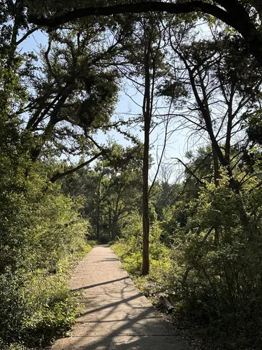 Best Hikes and Trails in Tanglewood Park | AllTrails