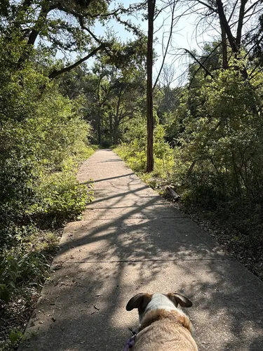 Best Hikes and Trails in Tanglewood Park | AllTrails