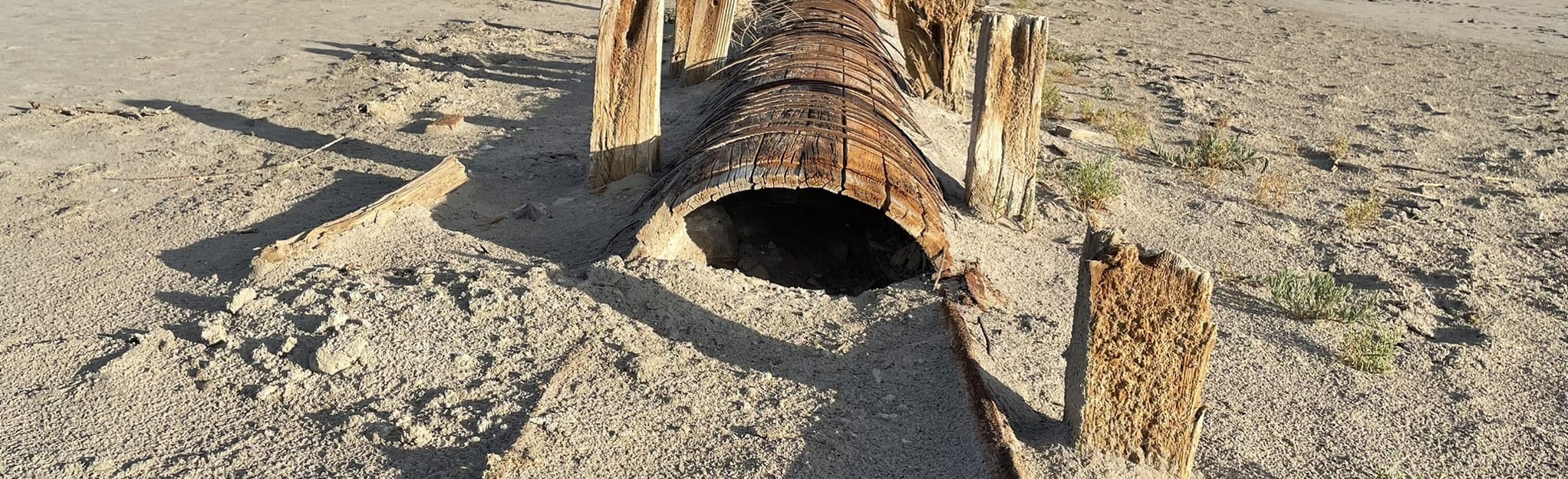 Old Saltair Pier, Utah - 27 Reviews, Map | AllTrails