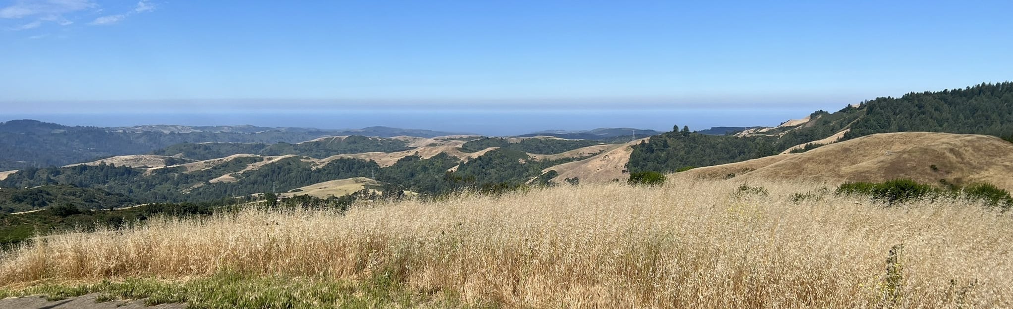 Windy Hill Loop, California - 2,849 Reviews, Map | AllTrails