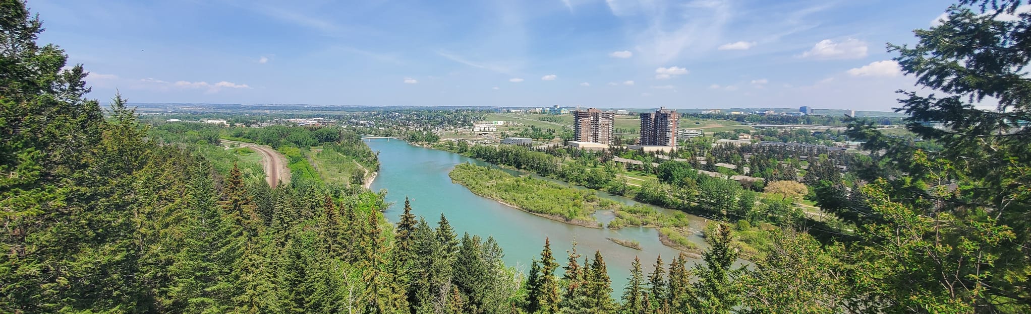 Douglas Fir and Bow River Pathway South Loop, Alberta, Canada - 723 ...