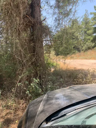Best Hikes and Trails in Eshtaol Forest | AllTrails