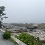 Bar Harbor Shore Path, Maine - 976 Reviews, Map | AllTrails
