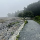 Bar Harbor Shore Path, Maine - 976 Reviews, Map | AllTrails