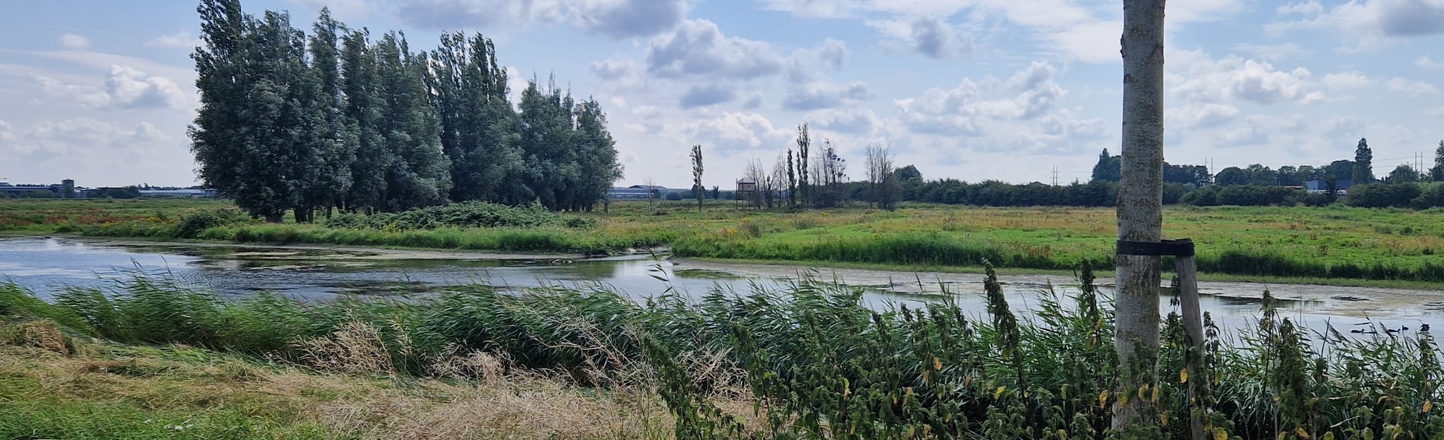 Berkel en Rodenrijs - Groenzoom, South Holland, Netherlands - 6 Reviews ...