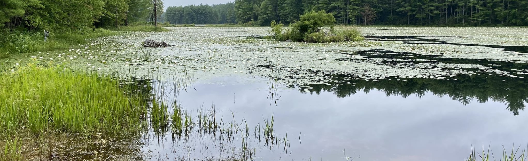 Wildlife Pond, Smith, Wood Duck Pond and Rocky Ridge Loop Trail : 213 ...