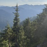 White Pass Pilot Ridge Loop Trail, Washington - 116 Reviews, Map ...
