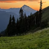White Pass Pilot Ridge Loop Trail, Washington - 116 Reviews, Map ...