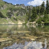 White Pass Pilot Ridge Loop Trail, Washington - 116 Reviews, Map ...