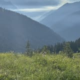 White Pass Pilot Ridge Loop Trail, Washington - 116 Reviews, Map ...