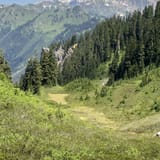 White Pass Pilot Ridge Loop Trail, Washington - 116 Reviews, Map ...