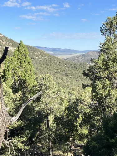 Best Hikes and Trails in Steptoe Park | AllTrails