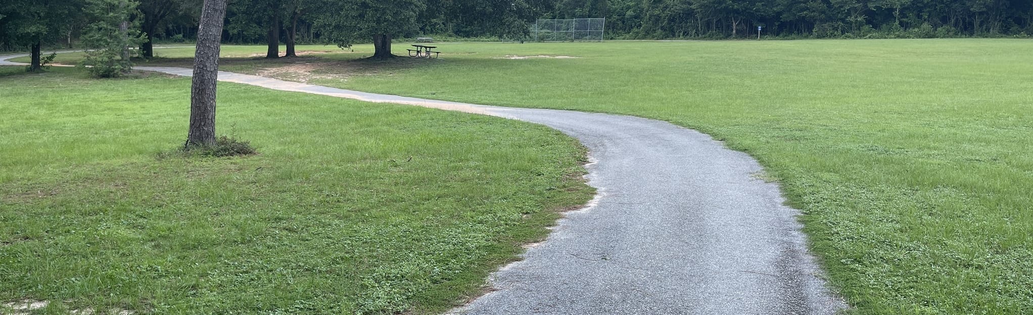 Regency Park Loop: 5 Reviews, Map - Florida | AllTrails