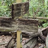 Noland Divide Trail, North Carolina - 126 Reviews, Map | AllTrails