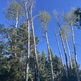 Crystal Springs Loop, Utah - 126 Reviews, Map | AllTrails