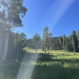 Crystal Springs Loop, Utah - 126 Reviews, Map | AllTrails