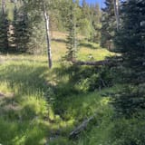 Crystal Springs Loop, Utah - 126 Reviews, Map | AllTrails